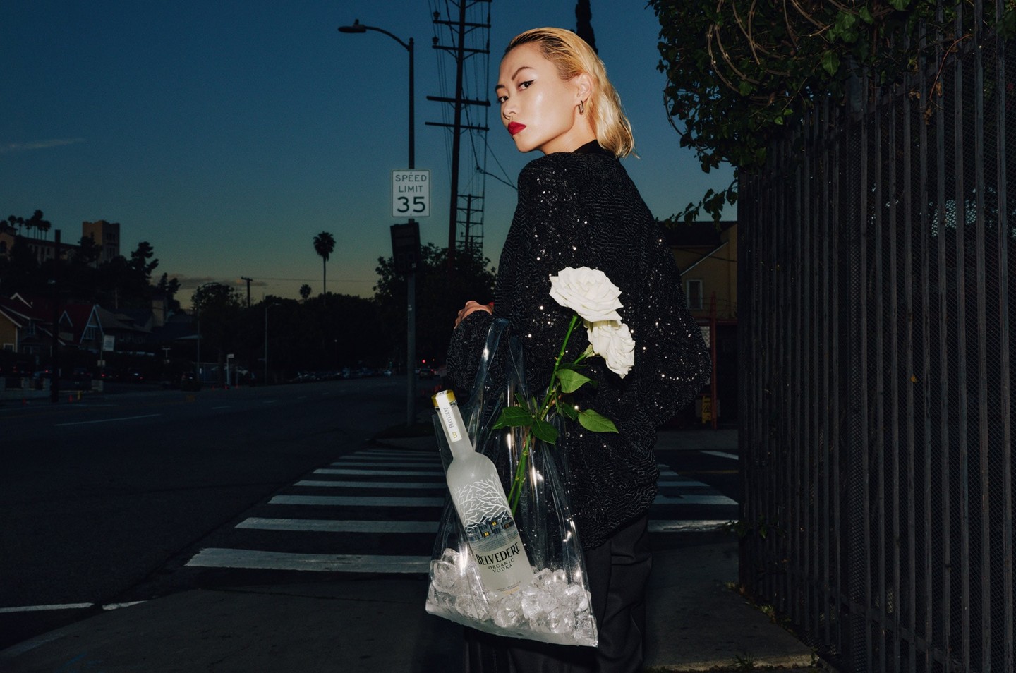 Belvedere Vodka | The Best Polish Vodka | Belvedere